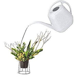 Fasmov Plastic Watering Can, 1-Gallon