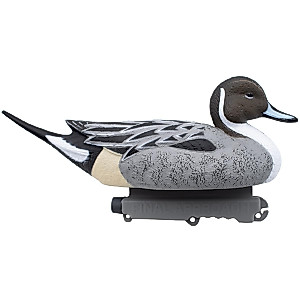 Final Approach Last Pass Floating Pintail Decoy, 12 Pack