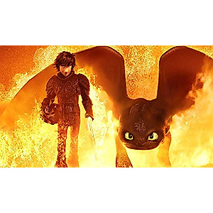 How to Train Your Dragon: The Hidden World [DVD]
