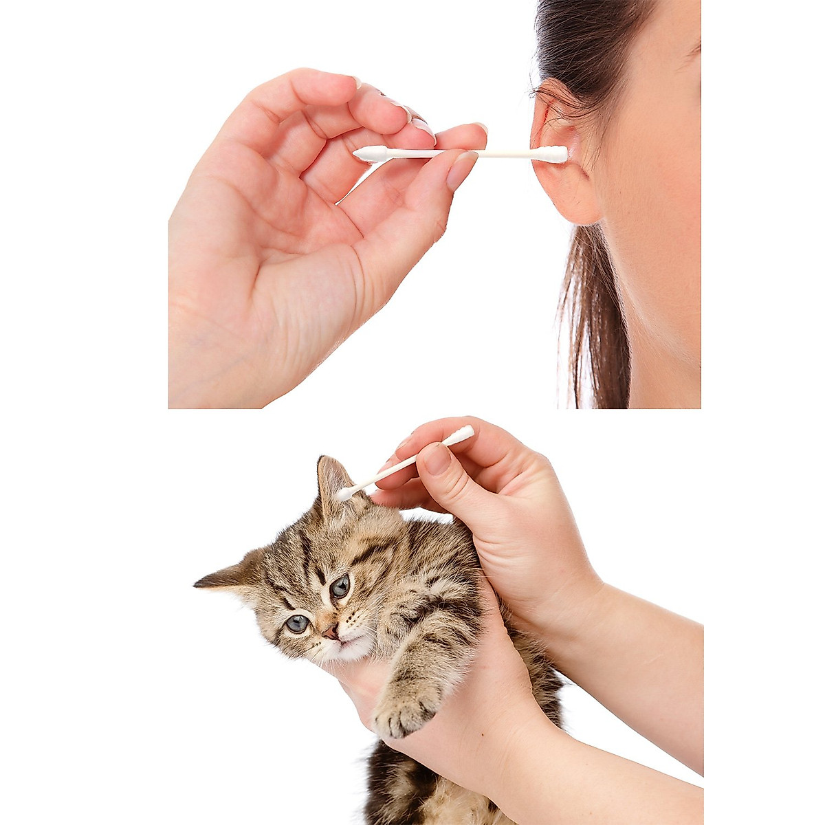 400 Pcs Cotton Swabs Cotton Tipped Applicator Double Tipped with Cardboard Handles (Pointed and Spiral Tip, Pointed and Round Tip)