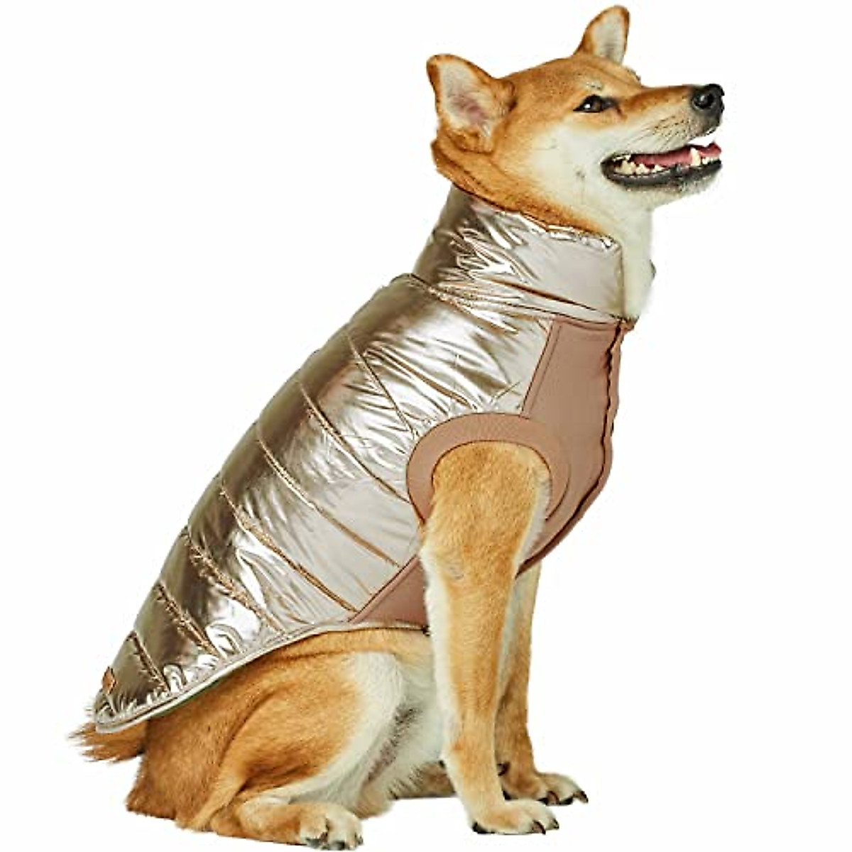 Blueberry Pet 2023 New Cozy & Comfy Windproof Lightweight Quilted Fall Winter Glossy Dog Puffer Jacket in Gold, Back Length 24", Size 22, Warm Coat for Large Dogs