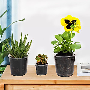 Oubest 50Pcs Clear Nursery Pots Variety Pack Plastic Pots for Plants Orchid Potting 3.5 5 6 Inch Mix Seedling Pots with Drainage Holes Indoor Outdoor Flower Pots
