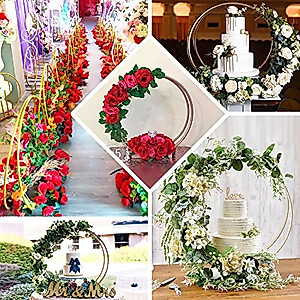 Efavormart 24" Gold Metal Double Frame Hoop Flower Table Centerpiece, Wedding Cake Display Stand