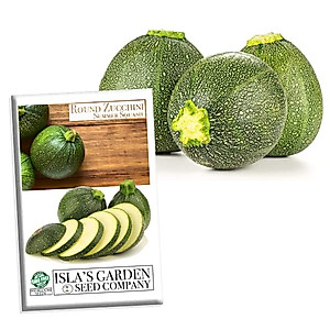 Round Zucchini Summer Squash Seeds for Planting, (Eight Ball Zucchini), 40+ Heirloom Seeds Per Packet, (Isla's Garden Seeds), Non GMO Seeds, Botanical Name: Cucurbirta Pepo