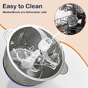 KOIOS 500W Powerful Electric Food Processor with 8 Cup Stainless Steel & Glass Bowls, 2 Speed Mode Electric Food Chopper with 2 Sets Blades Electric Meat Grinder Chopper for Family & Baby Use