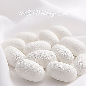 ZGPINZHEN 100% Mulberry Silk Pillowcase for Hair and Skin 2 Pack,19 Momme 600 Thread Count Natural Silk Pillow Cover Set of 2,with Hidden Zipper,Soft Breathable Smooth. (Standard 20"x26", Black)