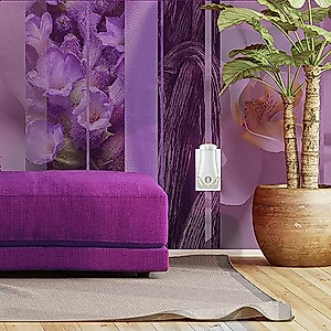 Glade PlugIns Refills Air Freshener, Scented and Essential Oils for Home and Bathroom, Lavender & Vanilla, 3.35 Fl Oz, 5 Count