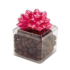 Pioneer Plastics 028C Clear Square Plastic Container, 3.75" W x 3.0625" H