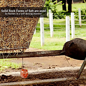 Himalayan Nature Horse Rock Salt, Animal Lick Salt - 8lbs, Elk