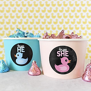 What The Duck are They Having Gender Reveal Party - Rubber Duck Team He or Team She - 40 Stickers