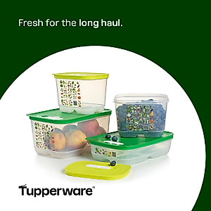 Tupperware Fridgesmart 4 Piece Food Storage Container Set, Dishwasher Safe and BPA Free (4 Containers, 4 Lids)