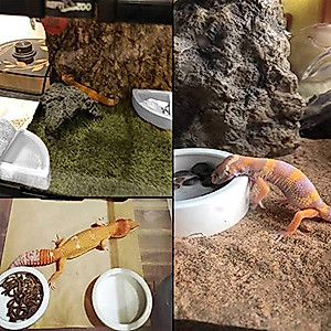 Reptile Food Water Bowl Set Lizard Feeder Ceramics Bowls Worm Live Fodder Container for Bearded Dragon Chameleon Lizard Hermit Crab Gecko Tortoise Spider Pet 3 Pieces