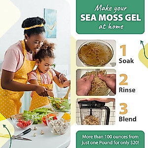 TrueSeaMoss Sea Moss Raw Wild Crafted Seamoss Raw - 100% Irish Sea Moss Raw (Pack of 1) - Dried Sea Moss Advanced Drink - Clean and Sundried - Vegan Sea Moss (1Pound) (16oz)