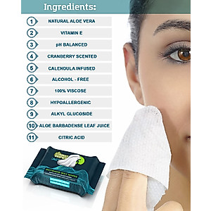 Combat Wipes ACTIVE Outdoor Wet Wipes - Extra Thick Camping Gear, Biodegradable, Body & Hand Cleansing/Refreshing Cloths for Backpacking & Gym w/Natural Aloe & Vitamin E(4 packs, 25 wipes each)