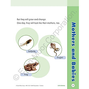 Evan-Moor Skill Sharpeners Science Workbook, Grade 1, Physical, Life, and Earth Science, Songs, Activities, Space, Animals and Eggs, Plants, Habitats, Recycling, Weather, Technology, Homeschool