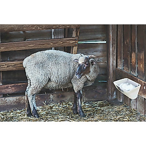 2 Pack Feed Trough and Waterer Bucket with Clips, for Goat Chicken Duck Sheeple Dog Piglets Deer Goose, Turkeys, Goat Feeder Supplies, 4.5 Quart (Appearance Patent Product)