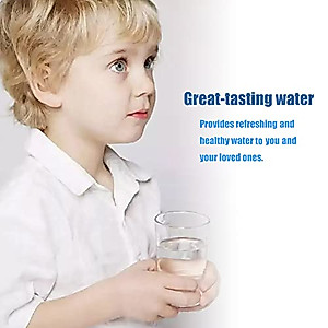 2-Pack Replacement Black Purification Elements, Activated Carbon Water Filters Compatible with Berkey Big, Nomad, King, Royal Gravity-fed Water Filter System, and other Gravity Filter Tank