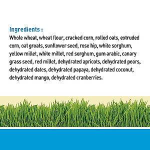 Living World Guinea Pig Fruit Treat Sticks, 4-Ounce