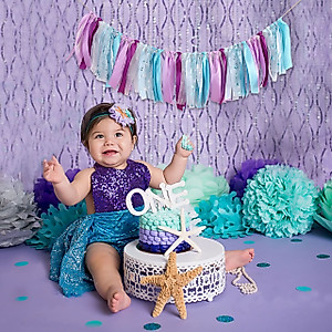 VAVAYAO Winter Onederland Ribbon Garland - Winter Onederland 1st Birthday Girl Decorations, High Chair Banners, Snow and Ice Princess Party Decorations, Winter Auderland Background Ribbon Banners