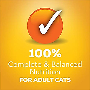 Purina Friskies Gravy Wet Cat Food Variety Pack, Tasty Treasures Prime Filets - (24) 5.5 oz. Cans