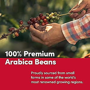 Tim Hortons French Vanilla, Flavored Roast Ground Coffee, Perfectly Balanced, Always Smooth, Made with 100% Arabica Beans, 12 Ounce Bag