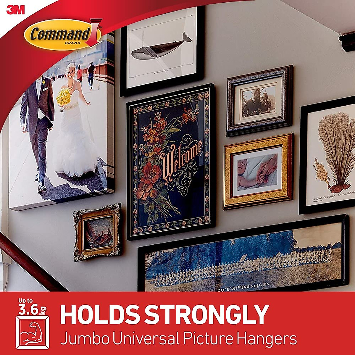 Command Universal Frame Hangers, Damage Free Hanging Picture Hangers, No Tools Frame Hanger for Living Spaces, 1 Metal Picture Frame Hanger and 4 Large Command Strips