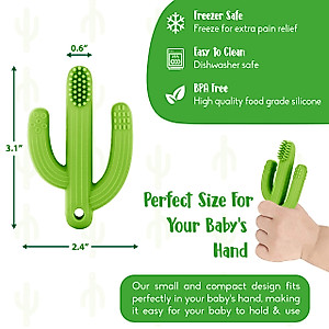 Cactus Baby Teething Toys for Babies 0-6 Months or 6-12 Months, Self-Soothing Pain Relief Soft Baby Teether Toys for Babies, Toddlers, Infants, Boy or Girl, BPA Free, Green