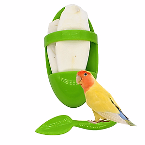 Cuttlebone Holder for Bird Cage | Cuttlebone Stand Cuddle Bone Feeding Cup Rack | Cuttlefish Bone Beaks, Natural Birds Calcium Parrots Cockatiels Budgie Lokoo