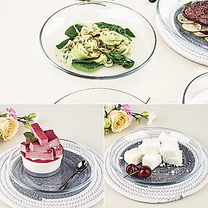 FOYO Oven Basics Glass Plate Set, 10 inch Round Tempered Glass Pie Dish, Set of 2