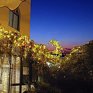 LALAPAO 2 Pack Super-Long Solar String Lights 85FT 240 LED 8 Modes Solar Powered Outdoor Lighting Waterproof Christmas Fairy Lights for Xmas Tree Garden Homes Wedding Lawn Party Decor(Warm White)