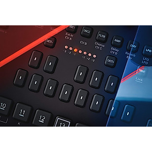 Analog Four MKII Tabletop Analog Synthesizer