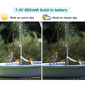 Lewisia 5W Solar Fountain Pump with Battery Backup for Patio Pool Koi Pond Bird Bath Garden Decoration Submersible Solar Powered Water Pump Kit
