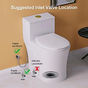 HOROW T0338WG One Piece Toilet with Gold Button, Elongated Toilet with Comfort Seat Height, ADA Chair Height 17.3", Dual Flush 0.8/1.28 GPF & MAP 1000g, Standard White Toilet Bowl, Gold Tank Button