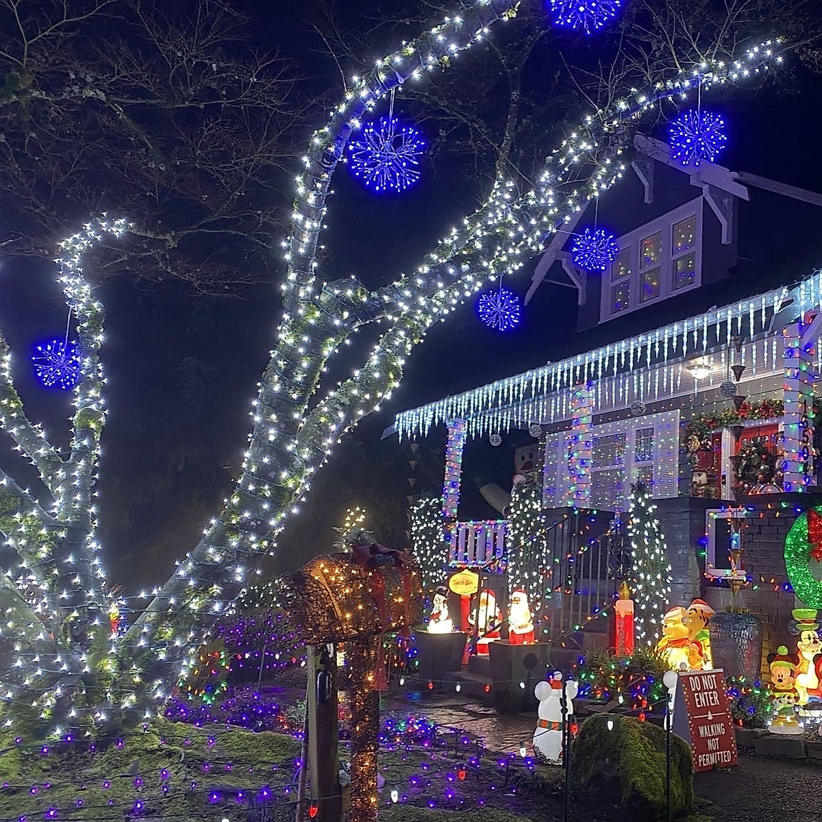 QITONG 2 Pack White Solar Christmas Lights, Each 66ft 200LED Solar String Lights Outdoor Waterproof, 8 Modes White Solar Lights for Outside Tree Yard Garden Christmas Decorations (Cool White)