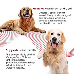 Omega-Caps Extra Strength for Large Breeds-Vet Formulated for Healthy Radiant Skin & Coat While Reducing Excess Shedding. Contains Omega 3 for Immune System Support, Easy to Dose, 60 Soft Gel Capsules