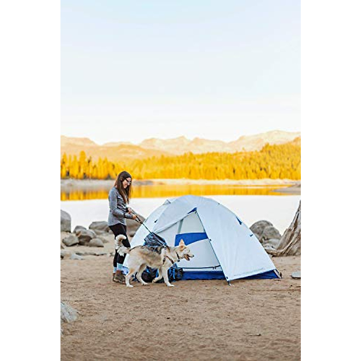 ALPS Mountaineering Lynx 3-Person Tent, Gray/Navy