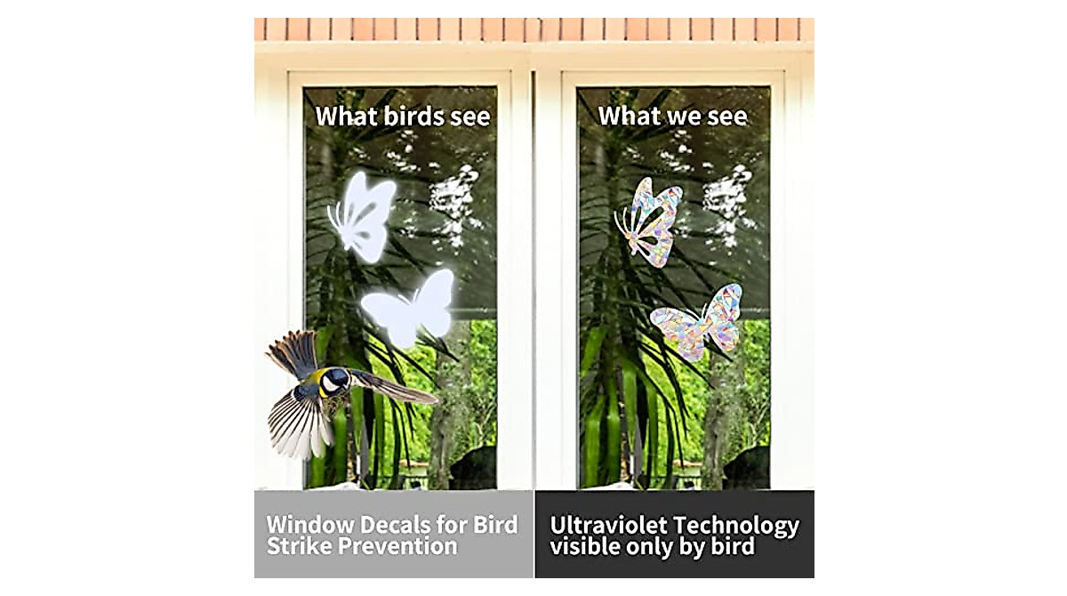 36 Bird Window Decals Prevent Bird Strikes & Enhance Home Decor