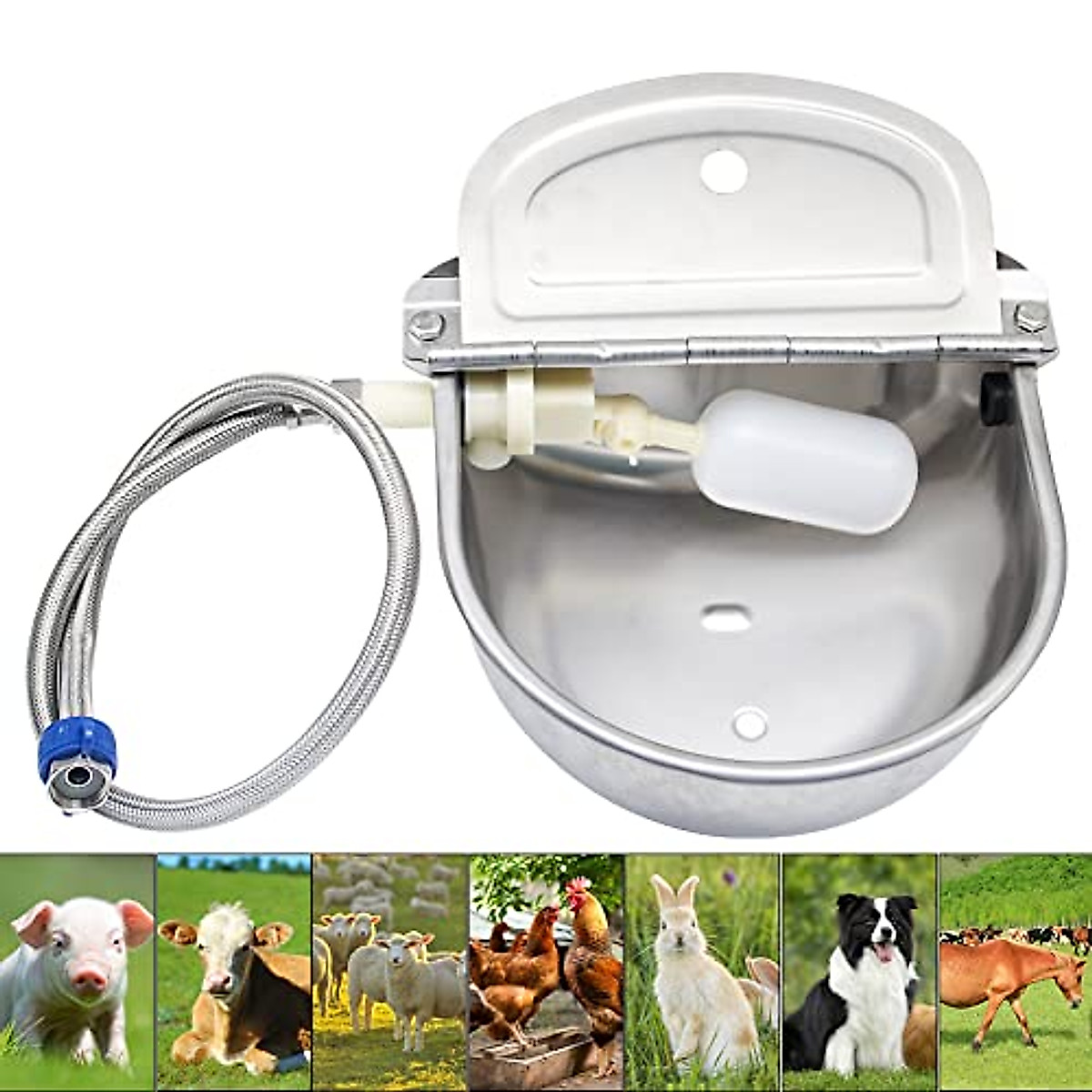 Stainless Steel Automatic Livestock Waterer Dog Waterer Bowl Upgraded Bottom Drain Hole With Water Hose (3/4'') and Float Valve and Two Expansion Screws, for Cattle Horse Goat Sheep Animals Pet