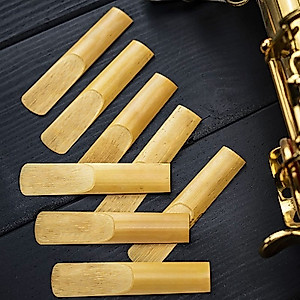 29 Pcs Alto Saxophone Mouthpiece Kit - Includes Metal Ligature 2.5 Reeds Cushions Pads and Plastic Cap