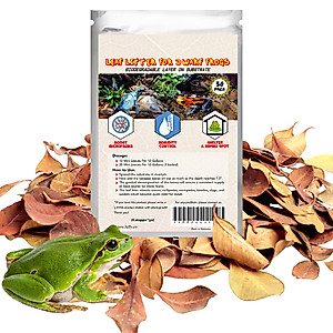SunGrow Dwarf Frog Mini Catappa Leaves (50 Pc) - Tannin Helps Remove Ammonia, Lower pH - Leaf Litter Indian Almond Leaves, Aquarium Water Treatment, Decor Accessories