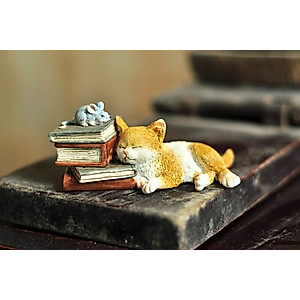 Top Collection Enchanted Story Garden Kitten Napping on Books Trinket Box and Ring Holder Outdoor Decor