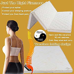 LZTENRETO Firm Coir Mattress, 3E Coconut Coir Mattress Pad, Quiet Coconut Palm Mattress, Thick Coir Mattress Pad in 6cm,9cm,11cm, Foldable (White-B,120x200x6cm(47"x80"x2.4"))