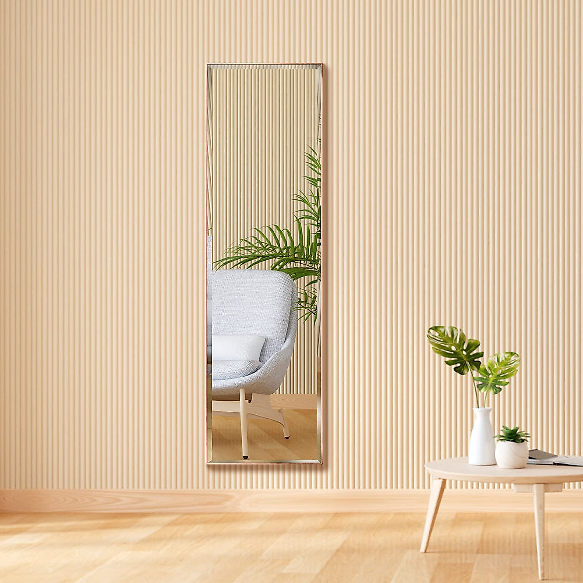 PETAFLOP 14x48 Inch Full Length Mirror Wall Mounted