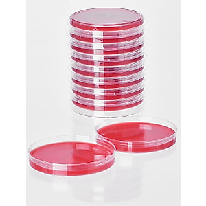 Blood Agar Plate, 5% Sheep Blood in Tryptic Soy Agar (TSA) Base, 15x100mm Plate, Order by The Package of 100, by Hardy Diagnostics