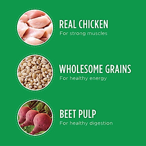 P L-RA IMS Proactive Health Minichunks Real, Farm-Raised Chicken, and Whole Grain Recipe Dry Dog Food, Complete Nutrition, 7 lb Bag