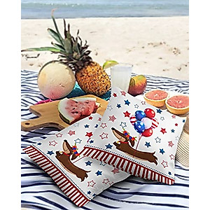 Vandarllin Outdoor Throw Pillows Covers 18X18 Set of 2 Waterproof American Flag Decorative Zippered Lumbar Cushion Covers for Patio Furniture, Stripes Sausage Dog