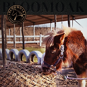 Bloomoak Slow Feed Hay Net for Horses, 40" Hay Bag with 2 inch Hole for Horse and Goat, Heavy Duty PE,Easy Fill with Rings…