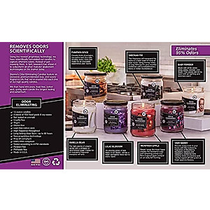 Lilac Blossom Two Pack Odor Eliminating Highly Fragranced Candle - Eliminates 95% of Pet, Smoke, Food, and Other Smells Quickly - Up to 80 Hour Burn time - 12 Ounce Premium Soy Blend