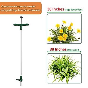 Walensee Weed Puller, Stand Up Weeder Hand Tool, Long Handle Garden Weeding Tool with 3 Claws, Hand Weed Hound Weed Puller for Dandelion, Standup Weed Root Pulling Tool and Picker, Grabber (1 Pack)