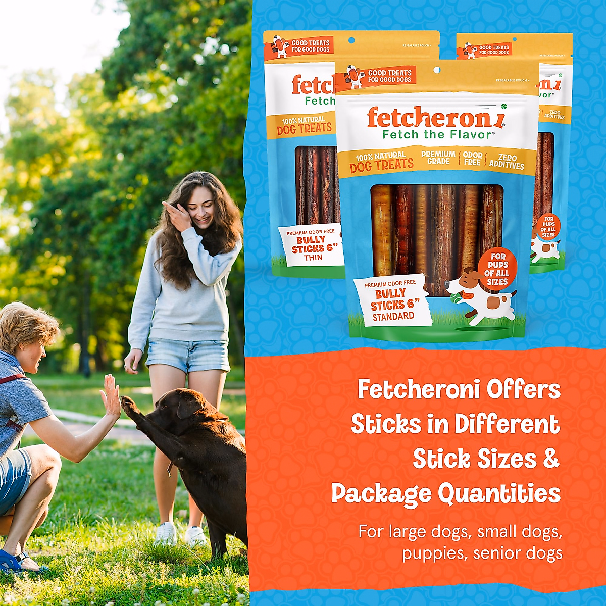 FETCHERONI Jumbo Bully Sticks for Dogs - 100% Beef, Rich Flavor - A Thick, Easily digestible Stick for Your Large Dog and Aggressive chewers -Dog Bully Sticks for Large Dogs (12 Inch, 5 Pack)